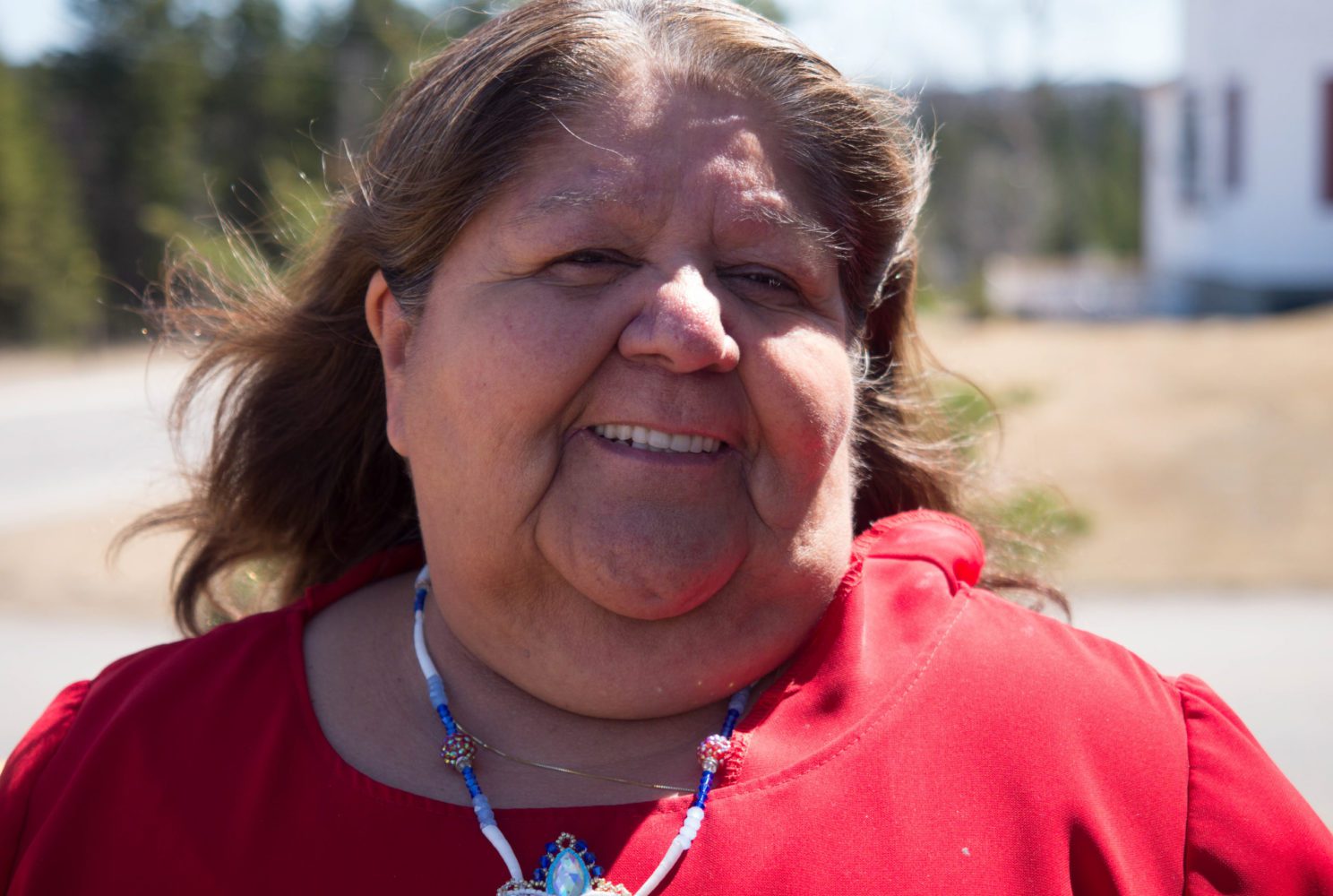 Diane R - Healthy Debate