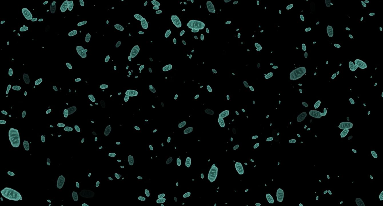 ‘We are not that great’: Gain-of-function research highlights our ...